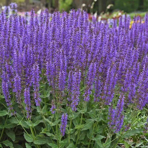 About ResearchMoore – ResearchMoore